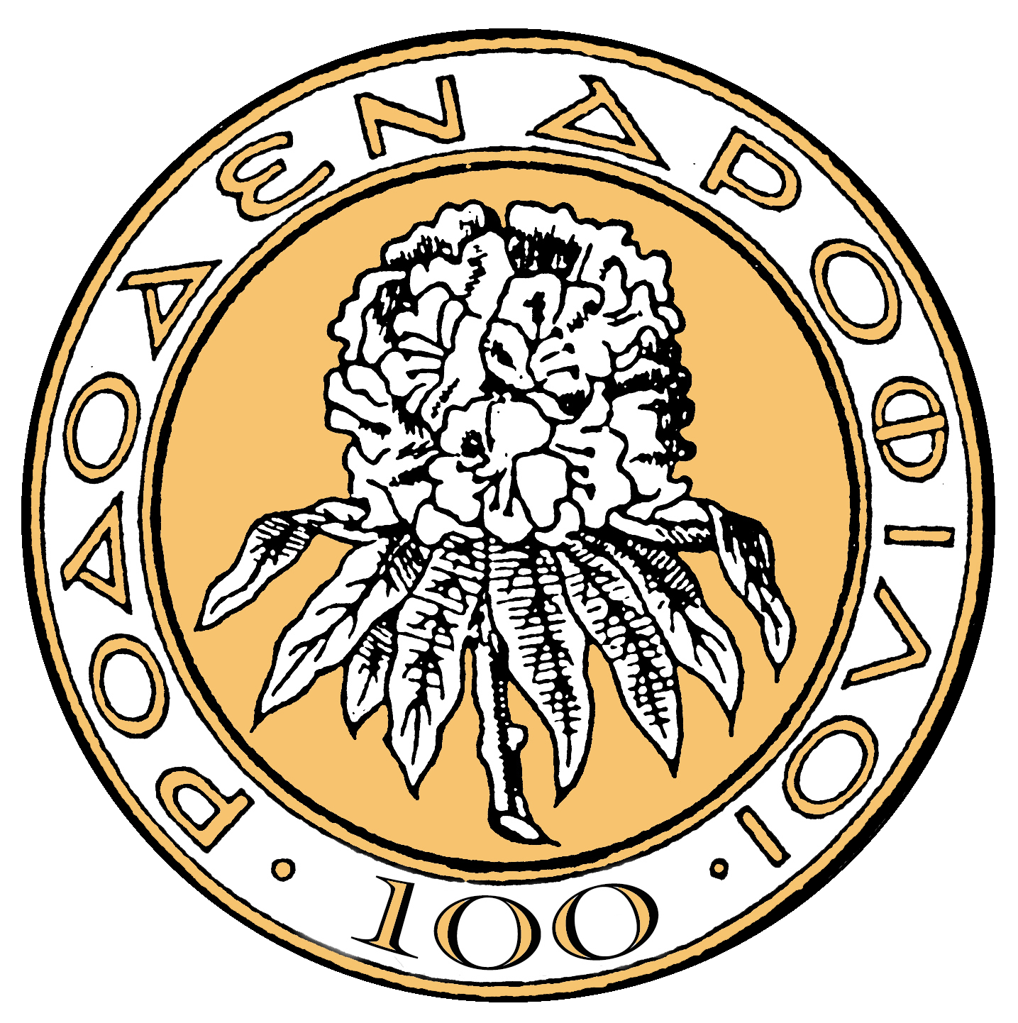 Index of /media/images/Centenary/